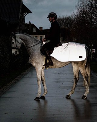 Reflexer för hästar - Köp reflexer till hästar här – animondo.dk